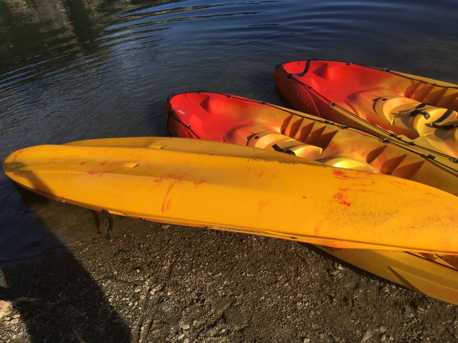 ISLANDER PARADISE 2 - RR DEMO BOATS - RocRoi Distribution